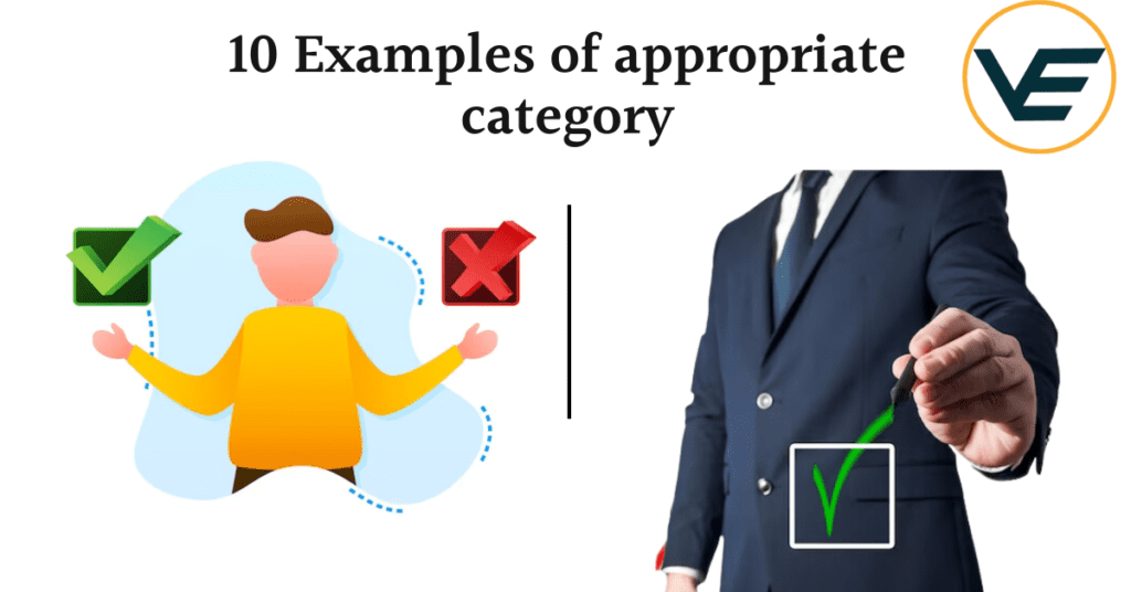 10 Examples of appropriate category - Vivid Examples