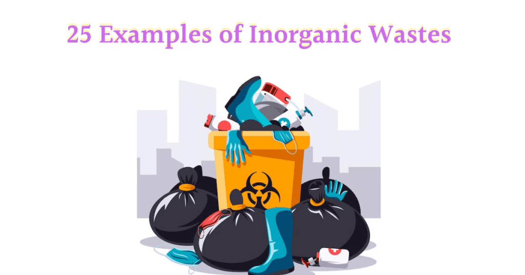 25 Examples of Inorganic Wastes - Vivid Examples