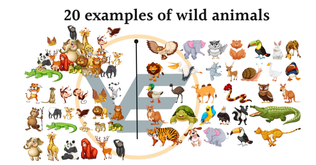 20 Examples Of Wild Animals Vivid Examples 20 Examples Of Wild Animals Vivid Examples