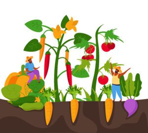 20 examples of horticultural crops - Vivid Examples