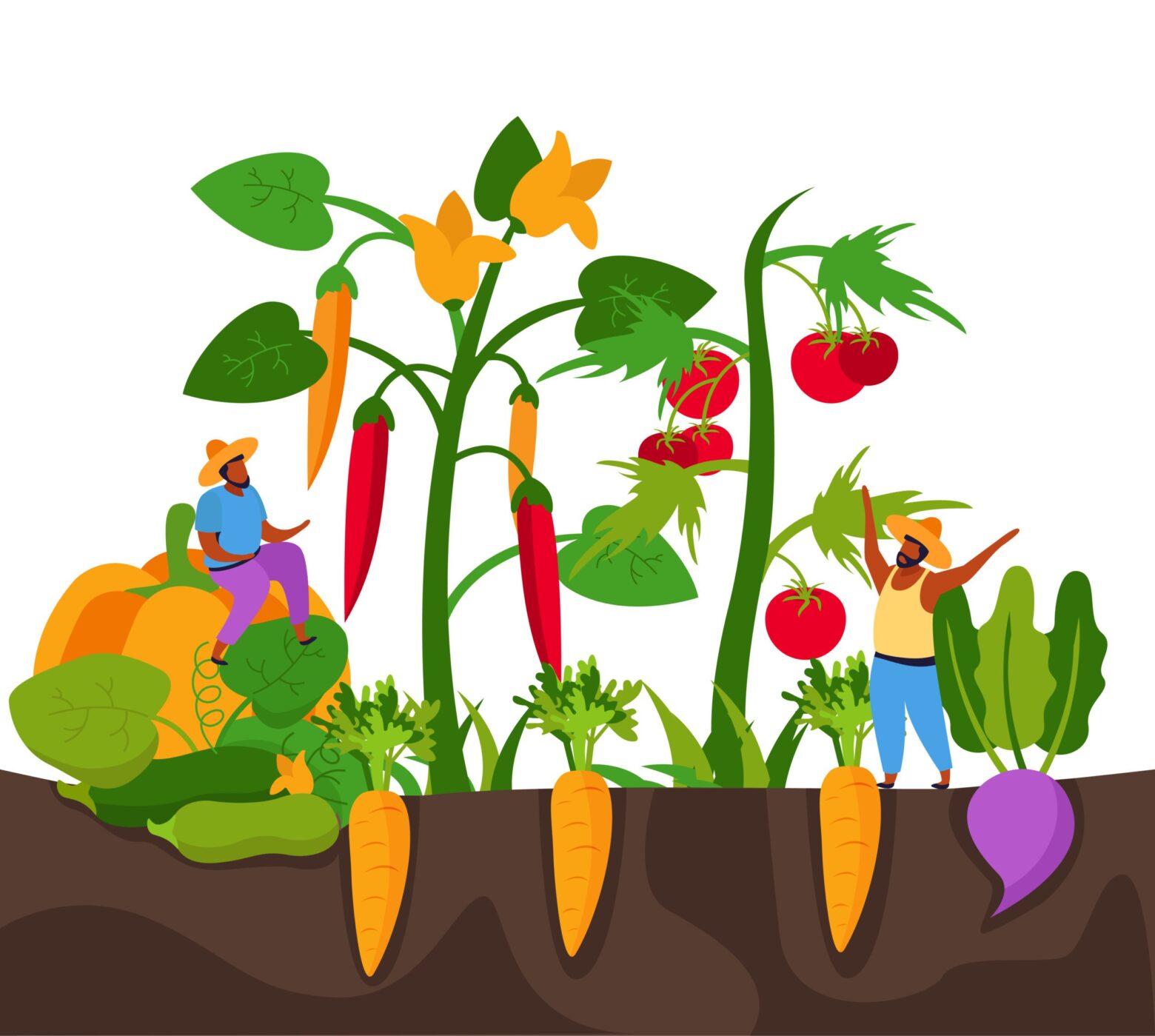 20 examples of horticultural crops - Vivid Examples