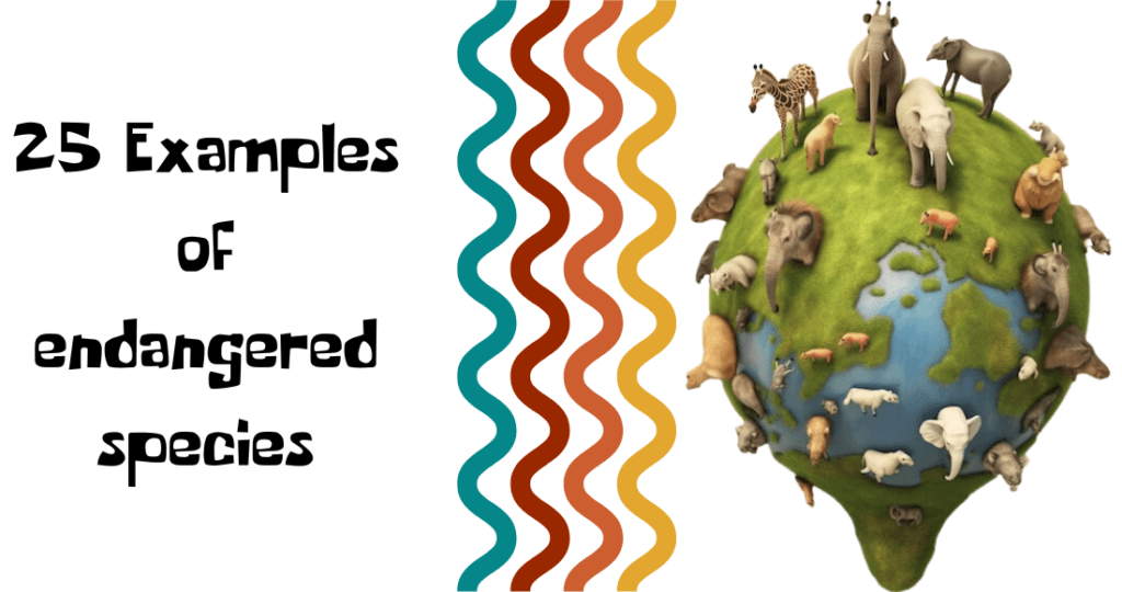 25 Examples of endangered species - Vivid Examples
