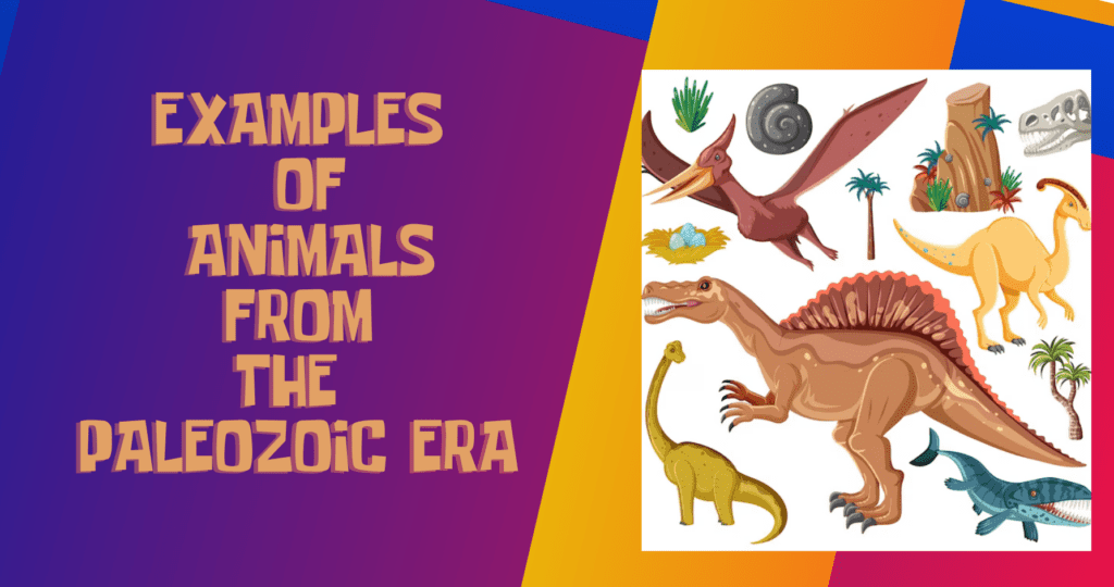 Examples of animals from the Paleozoic era - Vivid Examples