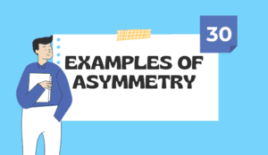 25 Examples of Asymmetry - Vivid Examples