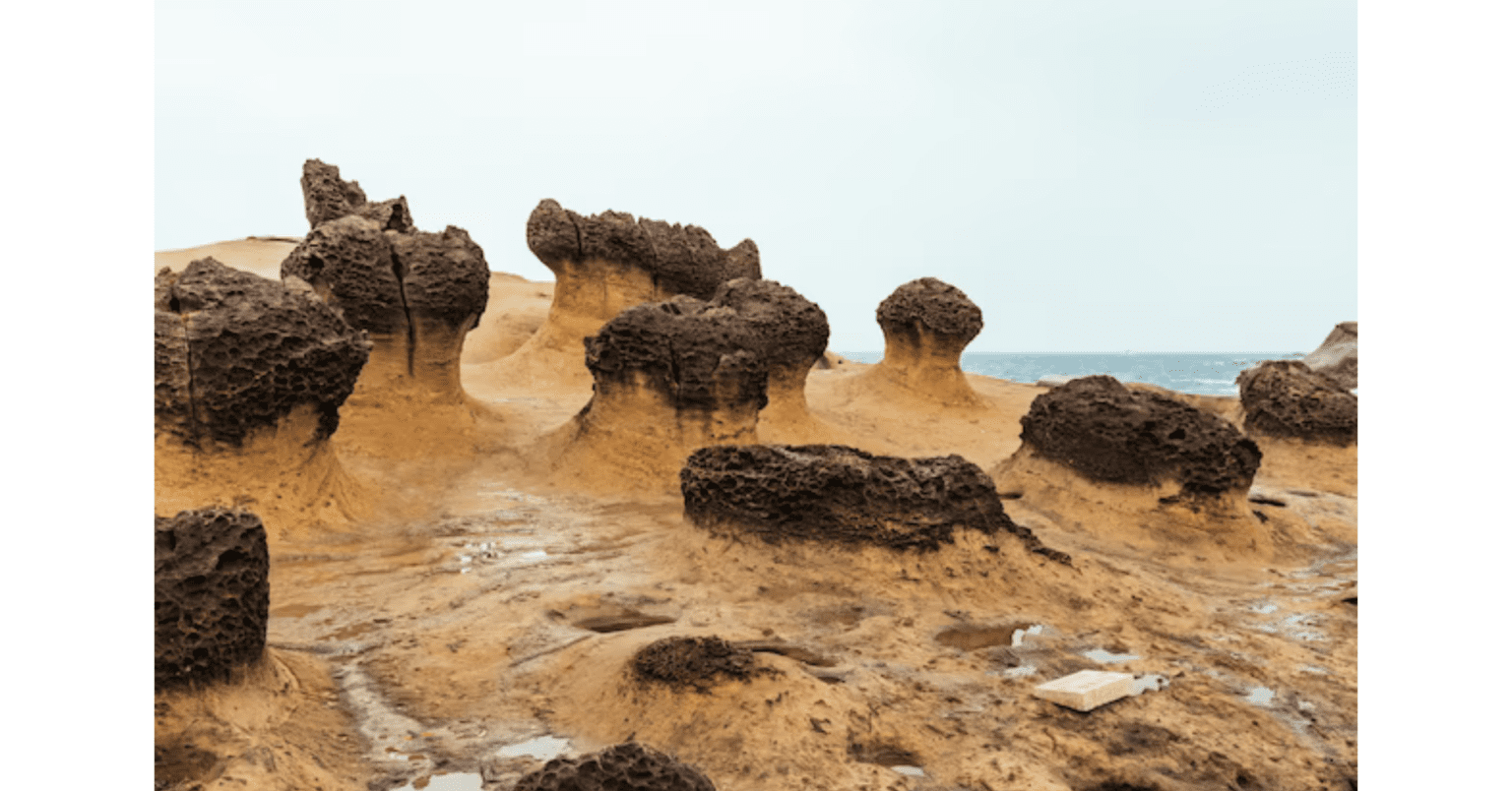 50 examples of metamorphic rocks - Vivid Examples