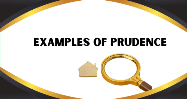 20 Hysterical Examples of Prudence - Vivid Examples