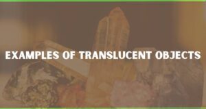 50 examples of translucent objects - Vivid Examples