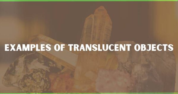 50 examples of translucent objects - Vivid Examples