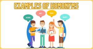20 Examples of Homonyms with multiple meanings
