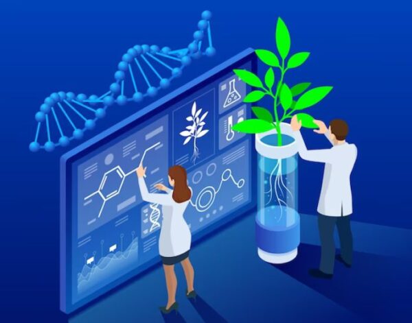 20 Examples of Consumers in Ecosystem - Vivid Examples