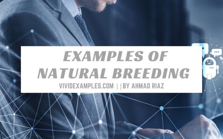 Examples of Natural Breeding - Vivid Examples
