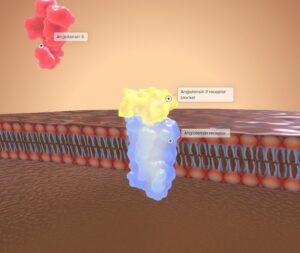 Examples of Alpha Blockers For Hypertension - Vivid Examples