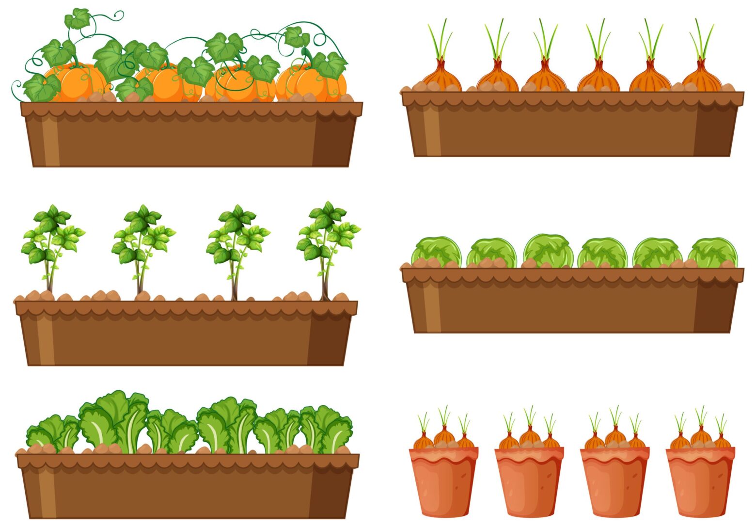 20 examples of horticultural crops - Vivid Examples