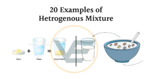 20 Examples of Heterogeneous Mixtures - Vivid Examples