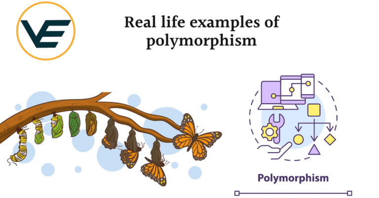 Real life examples of polymorphism - Vivid Examples