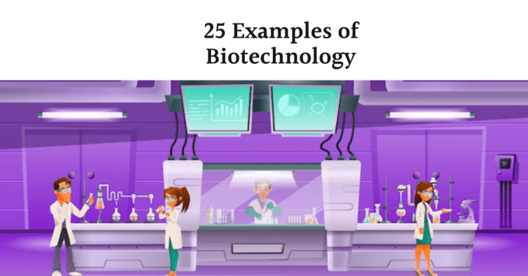 25 Examples of Biotechnology - Vivid Examples
