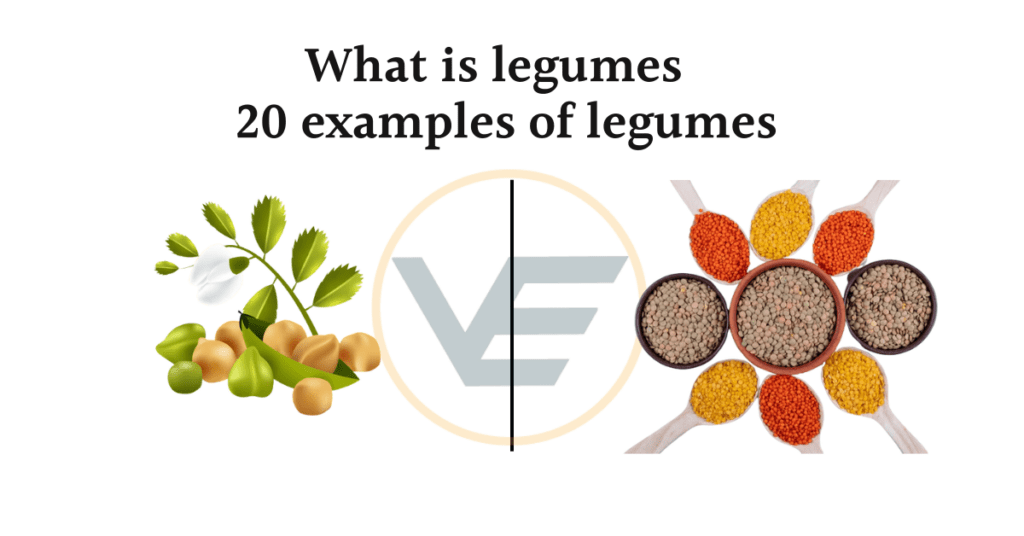 What is Legumes and 20 Examples of Legumes