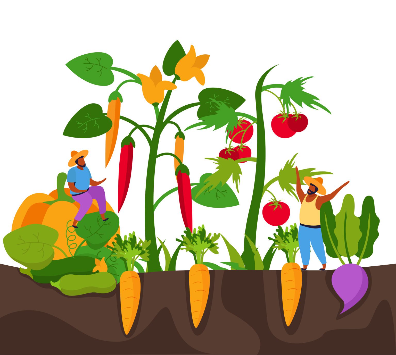 20 examples of horticultural crops - Vivid Examples