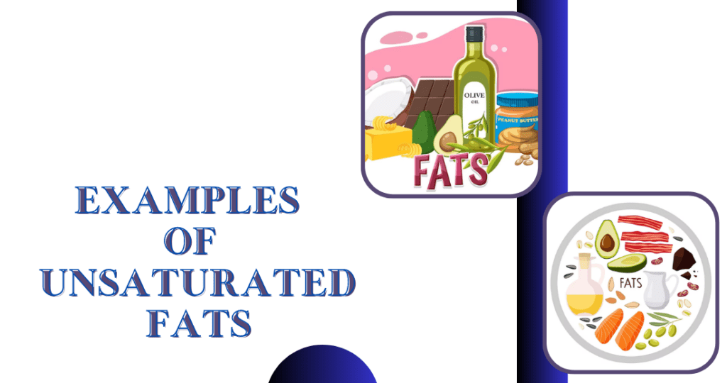 20 examples of unsaturated fats - Vivid Examples