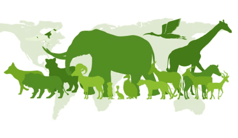 10 Examples of Definiendum and Definiens - Vivid Examples