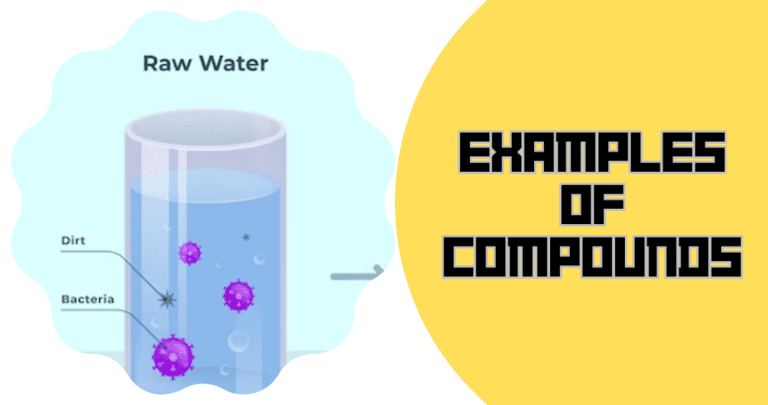 15 Examples of Compounds - Vivid Examples