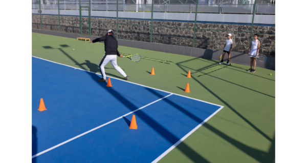 20 examples of parabolic motion - Vivid Examples