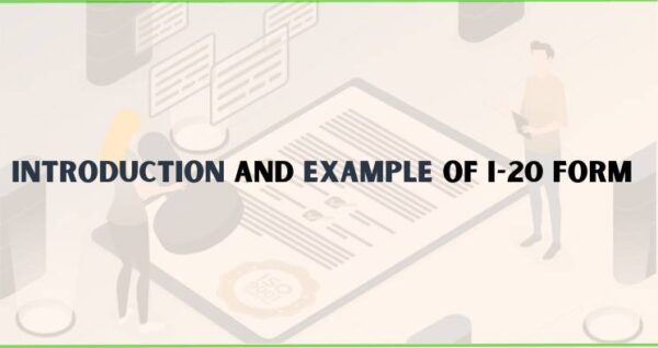 Introduction and Example of I-20 Form - Vivid Examples