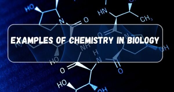 20 Examples of Chemistry in Biology - Vivid Examples 20 Examples of Chemistry in Biology - Vivid Examples