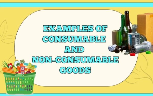 Examples of Consumable and Non-Consumable Goods